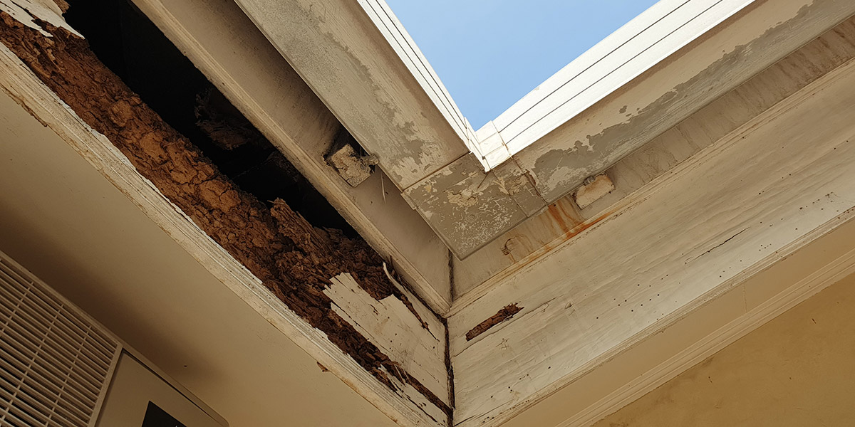 How Can We Help Fix Termite Damages?